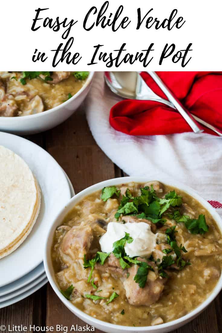Easy Chile Verde Recipe | Little House Big Alaska