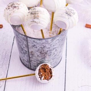 Easy Gingerbread Cake Pops | Little House Big Alaska